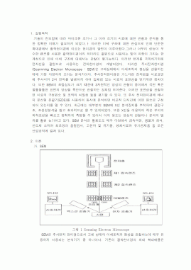 SEM 조직관찰-1페이지