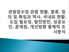 관광잠수정 관광 현황, 종류, 정의 및 특징과 역사, 국내외 현황, 도입 필요성, 발전방안, 성공요인, 문제점, 개선방향 총체적 조사분석-1페이지