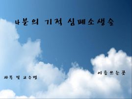 심폐소생술 방법 ppt 발표자료 입니다.-1페이지