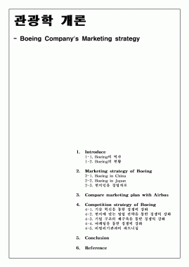 [관광학 개론] 보잉사의 마케팅 전략 (Boeing Companys Marketing strategy)-1페이지