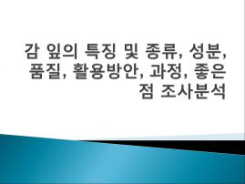 감 잎의 특징 및 종류, 성분, 품질, 활용방안, 과정, 좋은점 조사분석-1페이지