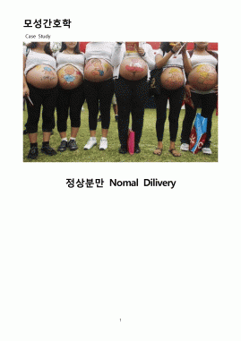 자연분만, 자연분만케이스, Nomal Dilivery Case Study-1페이지