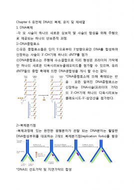 chapter 6 유전체 dna의 복제(첫번째)-1페이지