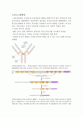 chapter 6 유전체 dna의 복제-1페이지