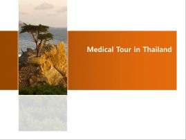 태국의 의료관광 (Medical Tour in Thailand)-1페이지