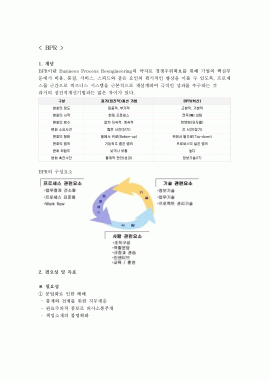 bpr 요약본-1페이지