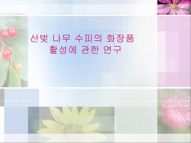 산벚 나무 수피의 화장품-1페이지