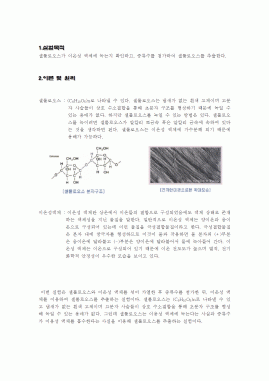 셀룰로오스 추출-1페이지