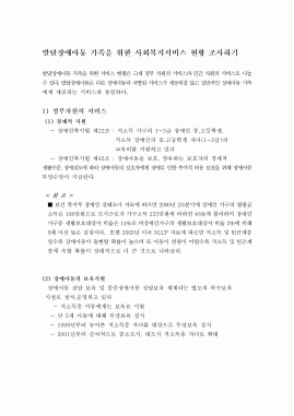 발달장애아동 가족을 위한 사회복지서비스 현황 조사하기-1페이지