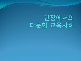 다문화-현장에서의 다문화 교육사례-1페이지