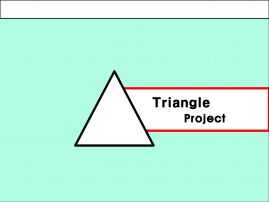 Triangle Project-1페이지