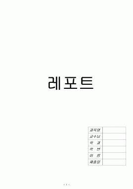 CEO 안철수 분석-1페이지