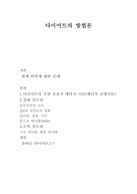 다이어트의 방법론-1페이지