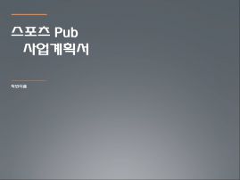 스포츠 Pub 사업계획서-1페이지