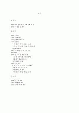 [창업계획서] 세탁-1페이지