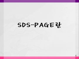 SDS-PAGE란-1페이지