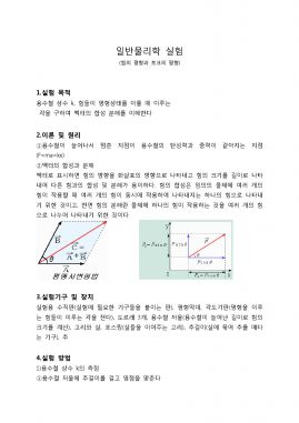 [일반물리학] 힘의 평형과 토크의 평형-1페이지