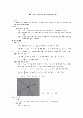 Two Dimensional Motions(이차원 운동) - 이차원에서의 등속도 운동과 등가속도 운동이 충돌할때 운동량 보존 법칙-1페이지