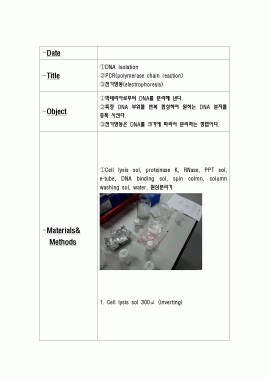 [생물학 보고서] DNA Isolation, PCR, 전기영동 실험-1페이지