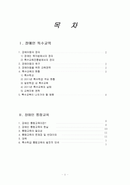 장애인 특수교육에 대해서-1페이지