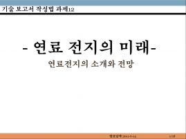 연료 전지의 미래 - 연료전지의 소개와 전망-1페이지