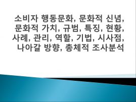 소비자 행동문화, 문화적 신념, 문화적 가치, 규범, 특징, 현황, 사례, 관리, 역할, 기법, 시사점, 나아갈 방향, 총체적 조사분석-1페이지