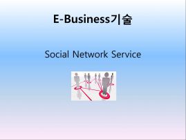 E-Business(e비즈니스)기술 Social Network Service(sns)-1페이지