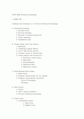 산과적 출혈 (obstetrical hemorrhage)-1페이지