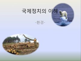 국제정치의 이해 -환경-1페이지