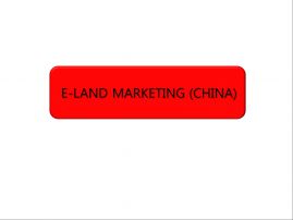 이랜드 중국시장 마케팅 E-LAND MARKETING (CHINA)-1페이지