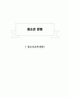 [청소년교육개론] 청소년 문화 -1페이지