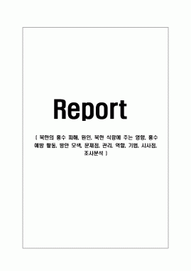 북한의 홍수 피해, 원인, 북한 식량에 주는 영향, 홍수 예방 활동, 방안 모색, 문제점, 관리, 역할, 기법, 시사점, 조사분석-1페이지