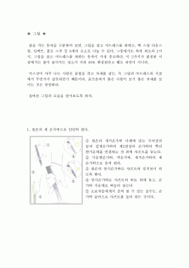 [교양골프] 골프 스윙의 단계 분석 (단계별 그림 첨부)-1페이지