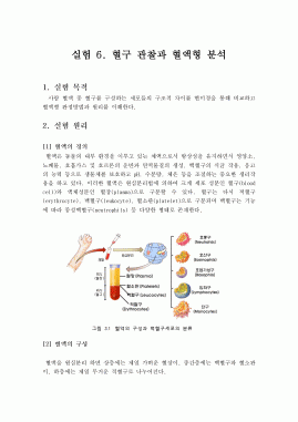 혈구관찰 및 혈액형 분석 (예비+결과) -1페이지