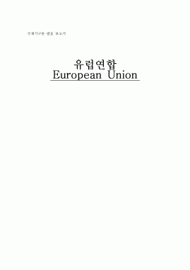 eu 보고서-1페이지