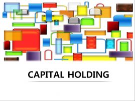 [MIS 사례] 캐피틀홀딩사 (CAPITAL HOLDING)-1페이지