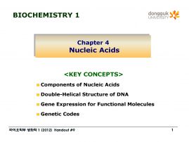 BIOCHEMISTRY 1 - Chapter 4 Nucleic Acids-1페이지