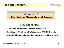 BIOCHEMISTRY 1 - Chapter 13 Membrane Channels and Pumps-1페이지