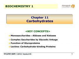 Carbohydrates-1페이지