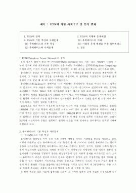 USN의 개념과 우리사회에 미칠 영향 - e비지니스-1페이지