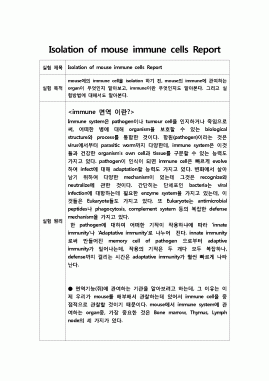 면역기관의 분리와 기능, 원리 - Isolation of mouse immune cells-1페이지