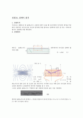 암페어 법칙 (일반물리학실험 북스힐 2012최신개정판)-1페이지