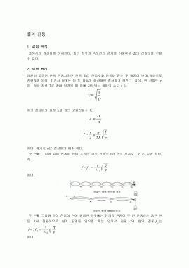 줄의 진동 (일반물리학실험 북스힐 2012년 최신개정판)-1페이지