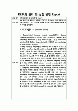 ELISA 효소 결합 면역 흡착법의 실험원리와 방법, 고찰입니다.-1페이지