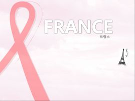 FRANCE (프랑스)-1페이지