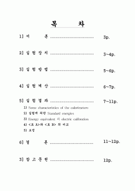 Mini-bomb Combustion Calorimeter (미니봄베열량계)-1페이지