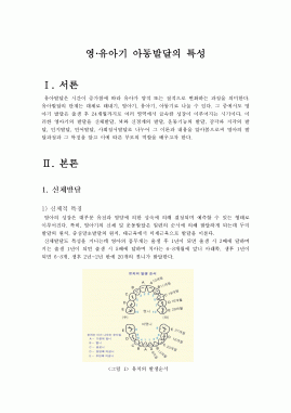 영·유아기 아동발달의 특성-1페이지