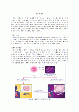 [논문] 운동과 결핵-1페이지