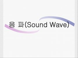 [일반물리] 음파 (Sound Wave)-1페이지