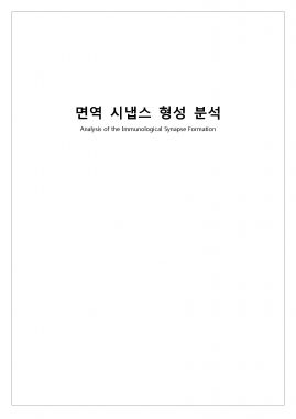 면역 시냅스 형성 분석-1페이지